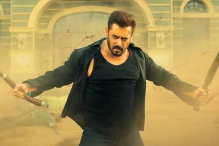 Sikandar Box Office Collection - Movie Hubway